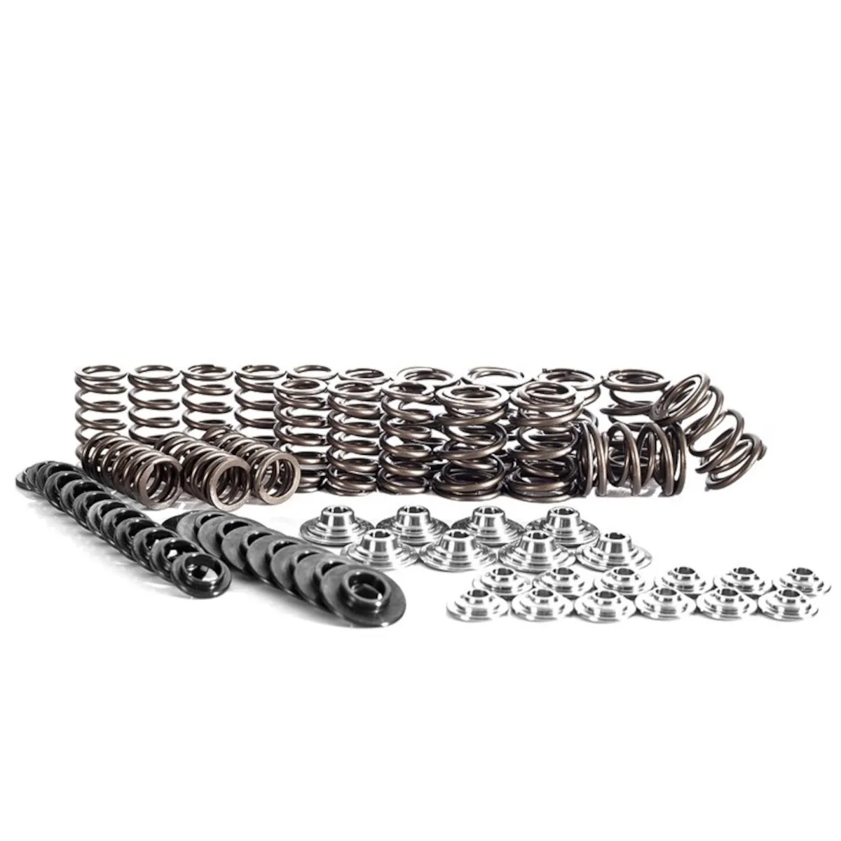 1.8T 20V Sport Valve Spring Set FERREA